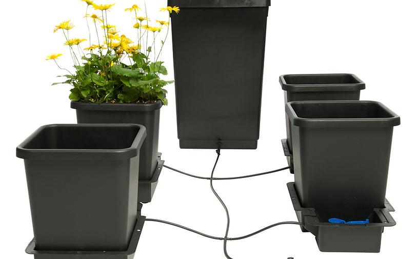 10 tips for growing in AutoPots