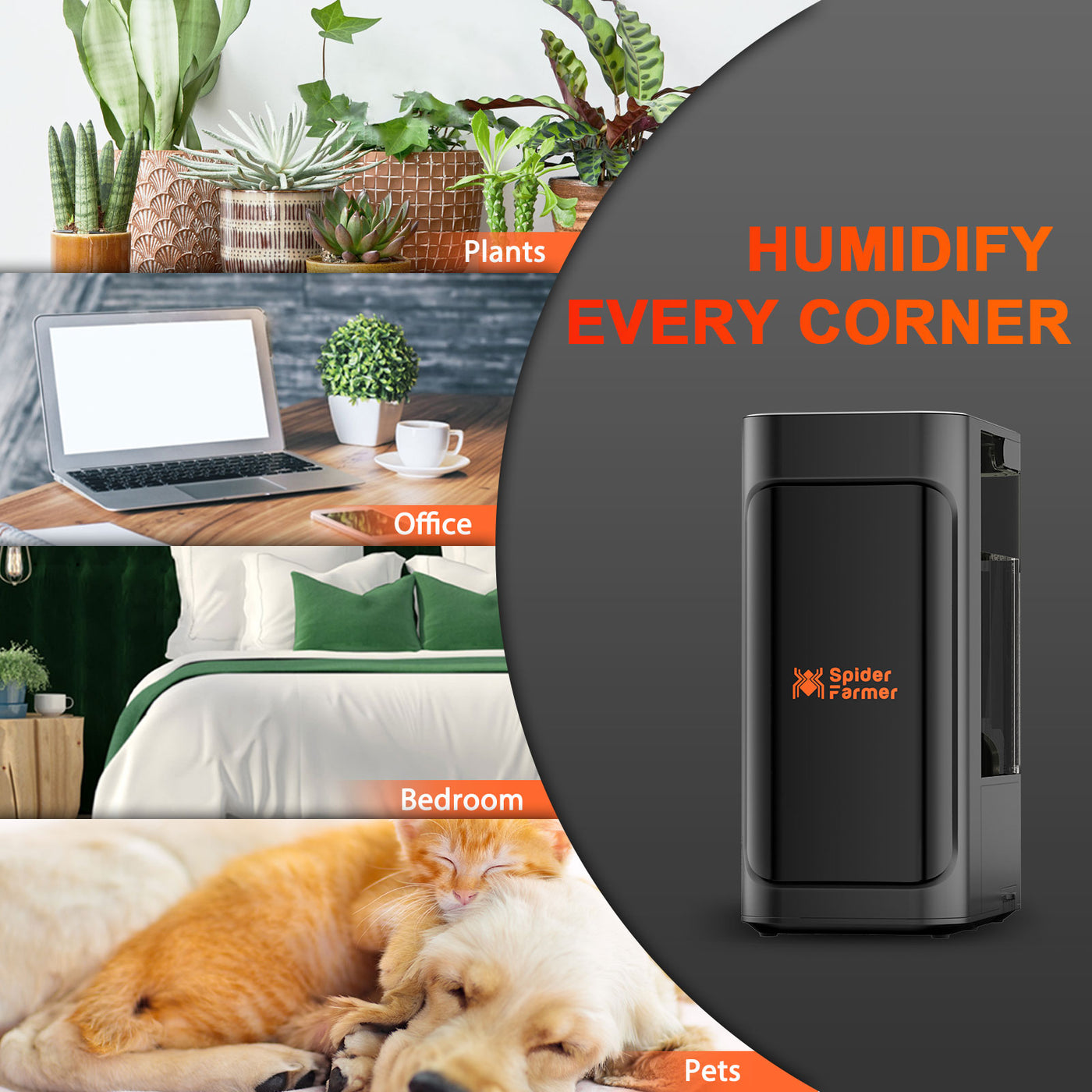 Ultrasonic Humidifier - Spider Farmer brand