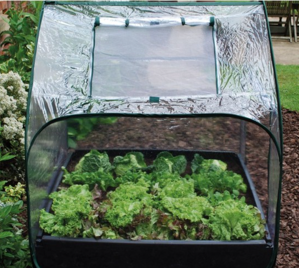 Pop-Up Garden Bed Cloche Cover